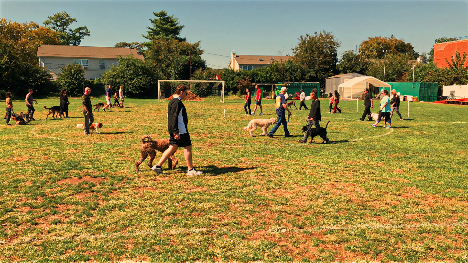 Our Program - K9KEY Dog School